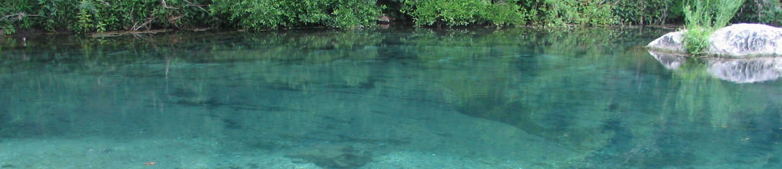 Southwest Research Institute